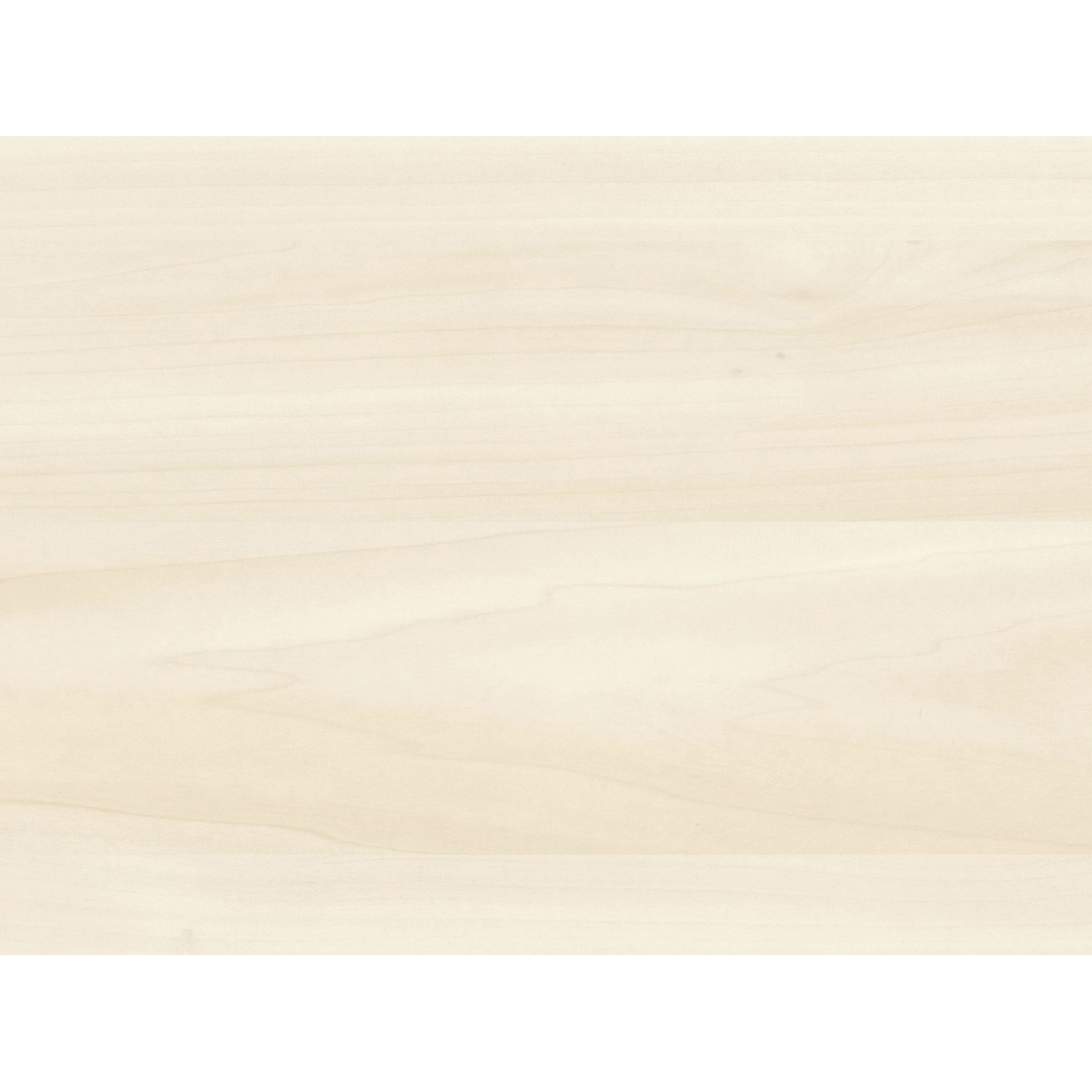 Kronoflooring Decken- und Wandpaneele Holz Birke Taiga kaufen bei OBI