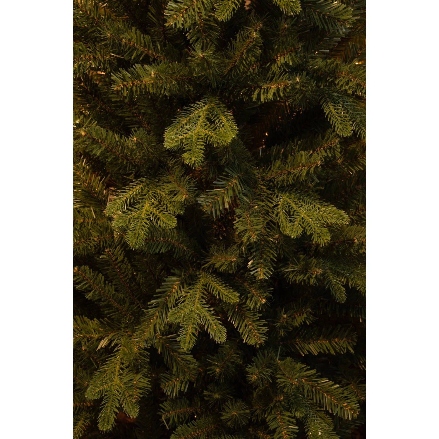 Black Box Trees Weihnachtsbaum Harma Pilar 215 cm x Ø 66 cm Grün kaufen ...