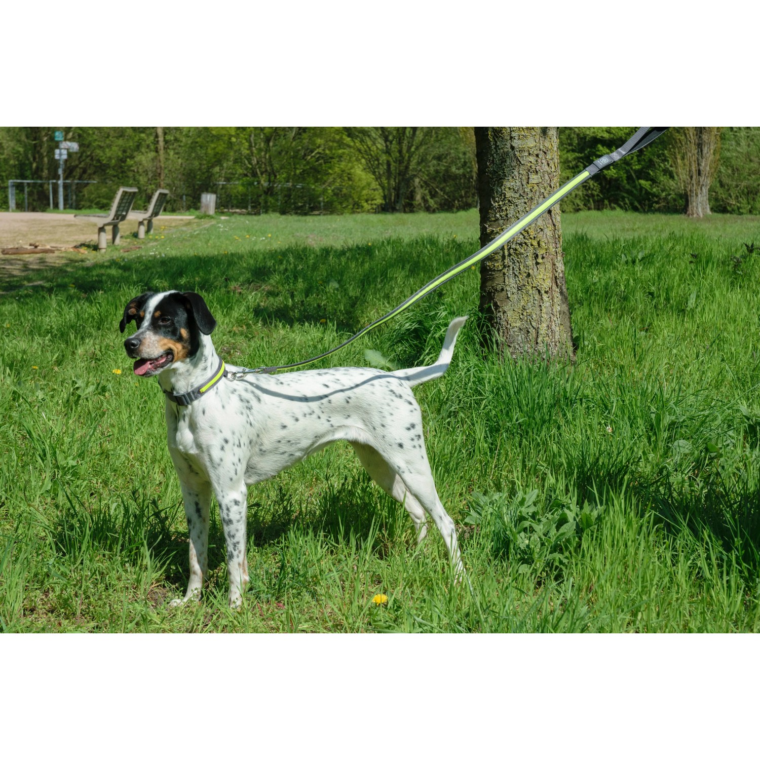 Dobar LED Halsband Gelb kaufen bei OBI