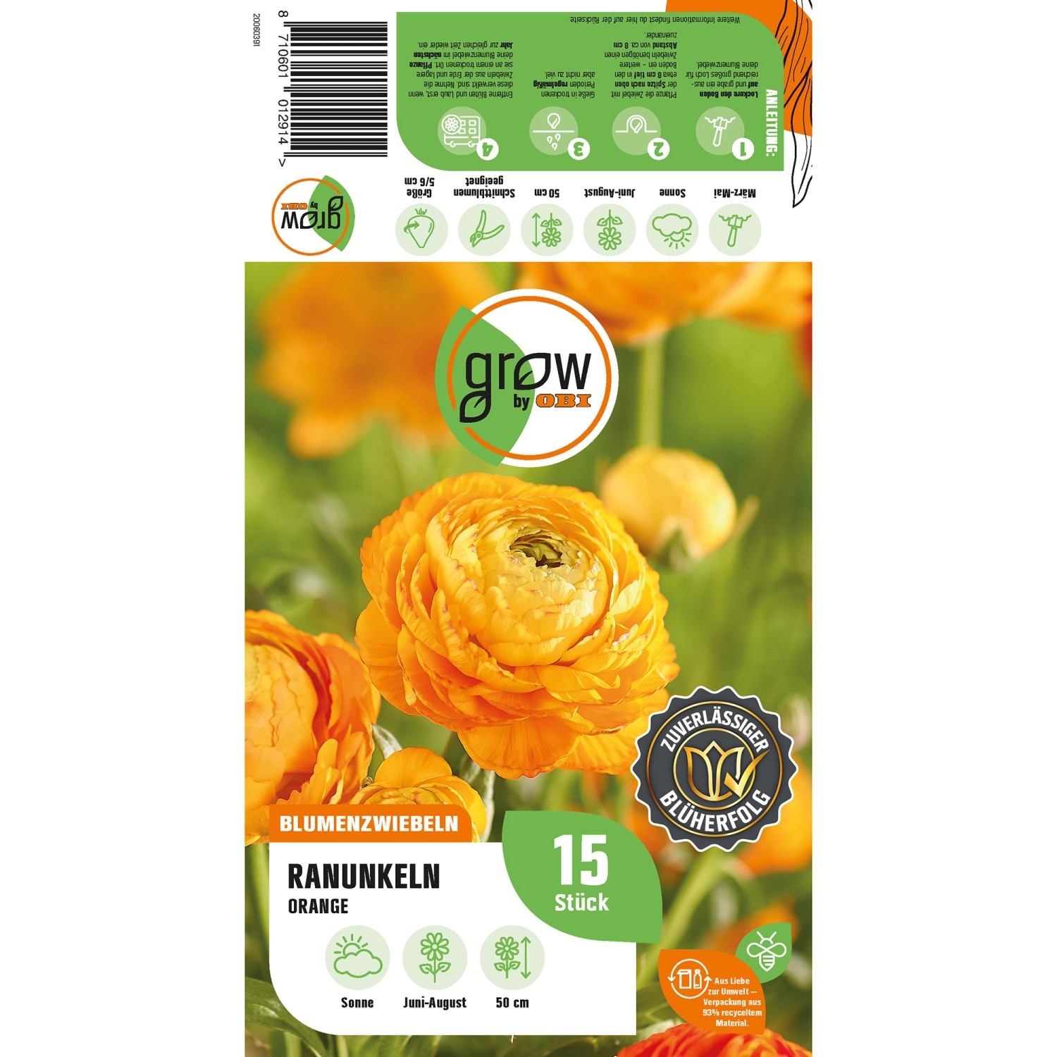 GROW by OBI Ranunkel "Asiatisch Orange" Höhe ca. 50 cm Ranuculus ...