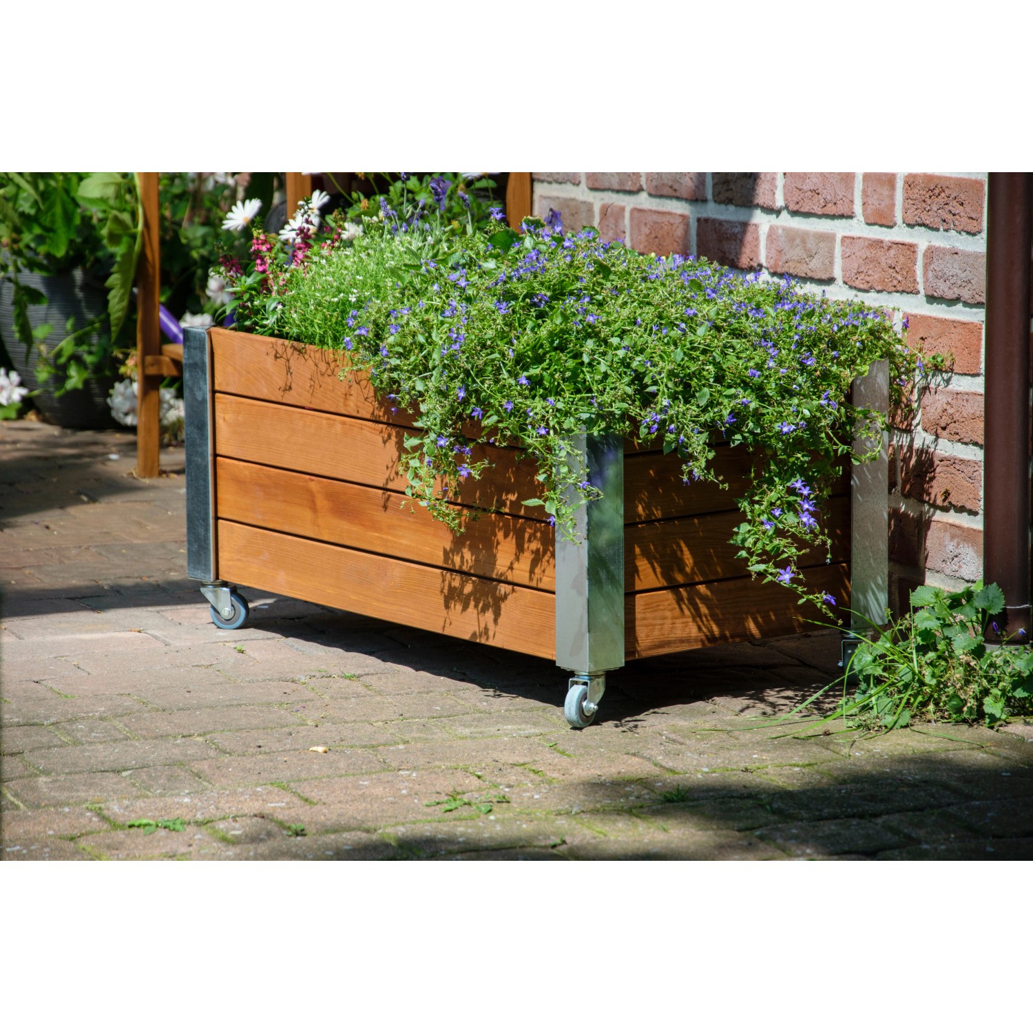 Dobar Hochbeet Rollfi mit Rollen 78 cm x 52 cm x 40,5 cm Braun FSC ...