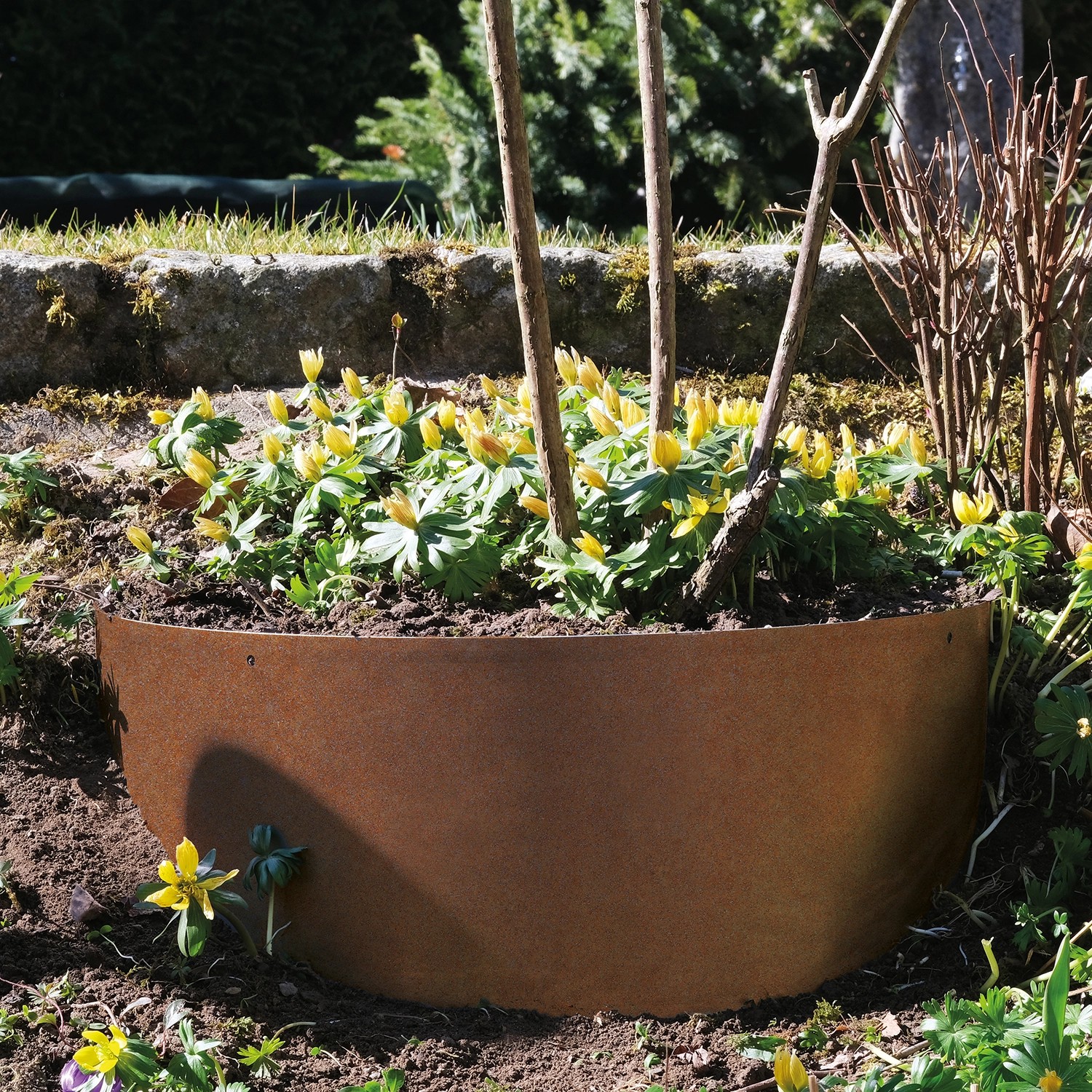 Bellissa Hangpflanzschale Collina Corten kaufen bei OBI