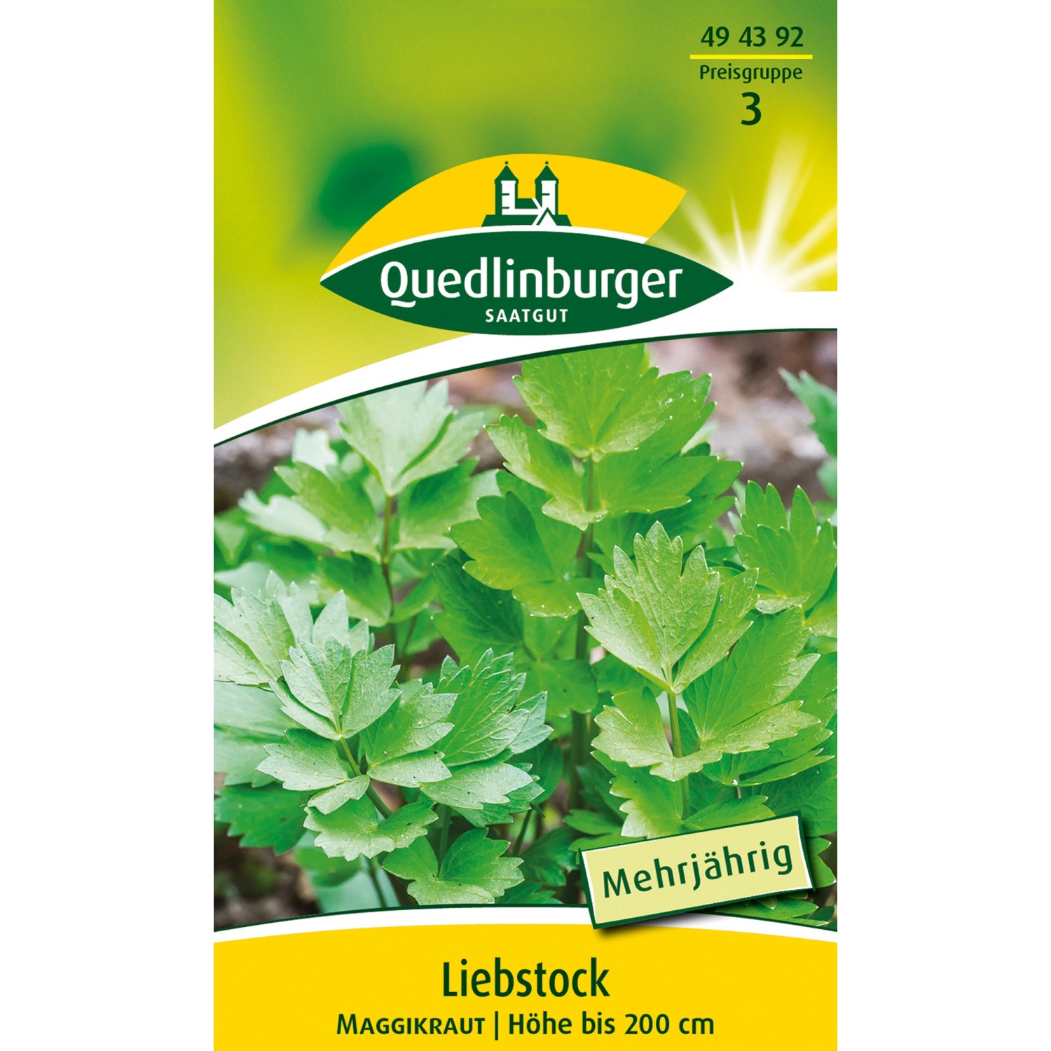 Quedlinburger Liebstock Maggikraut kaufen bei OBI