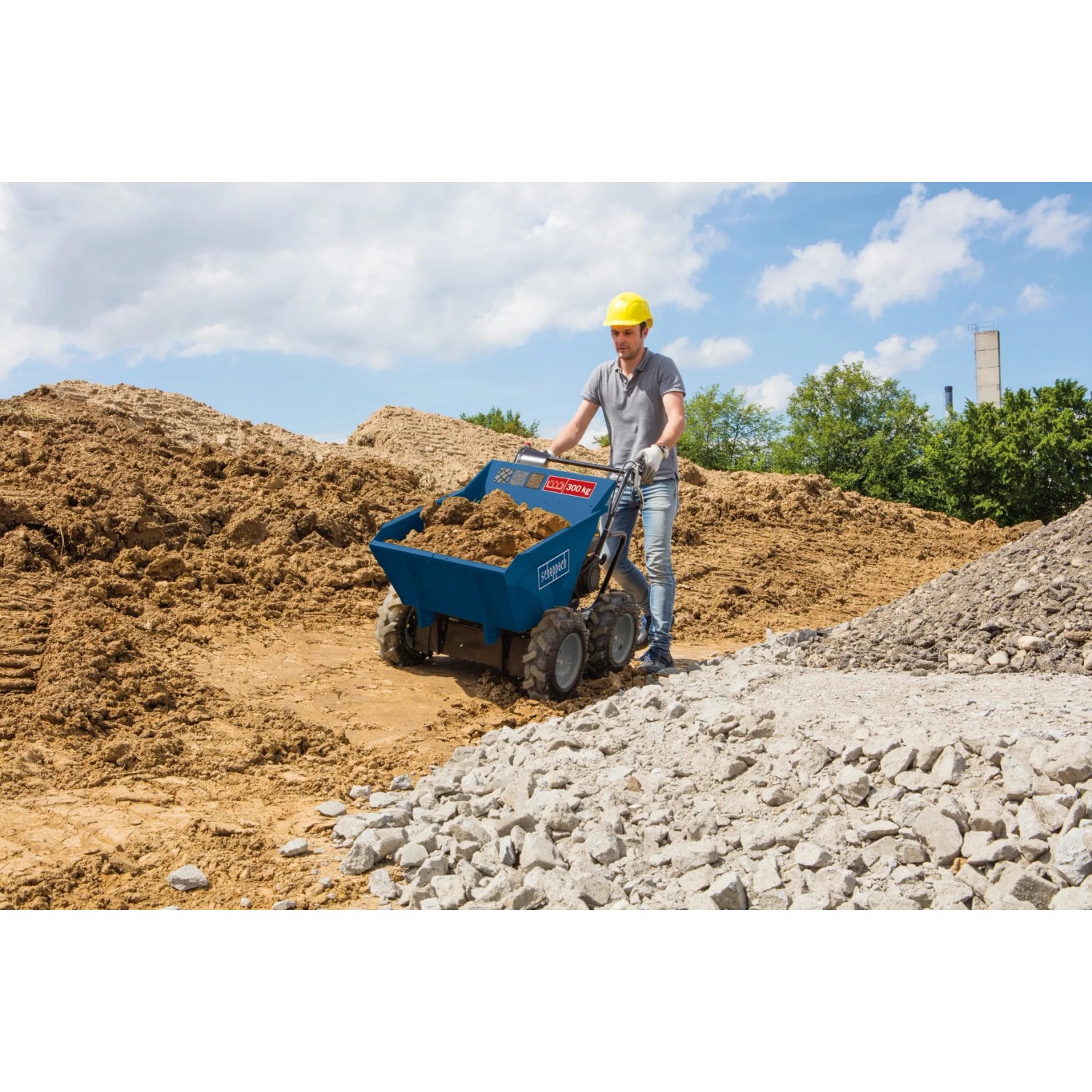 Scheppach Minidumper DP3000 kaufen bei OBI