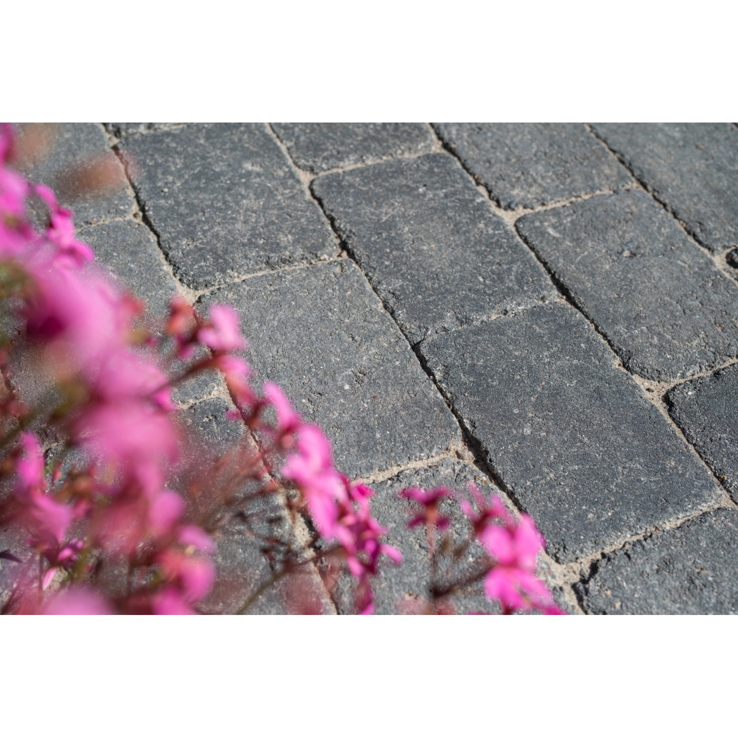 Diephaus Pflasterstein Collo Basalt 28 x 21 x 7 cm kaufen bei OBI