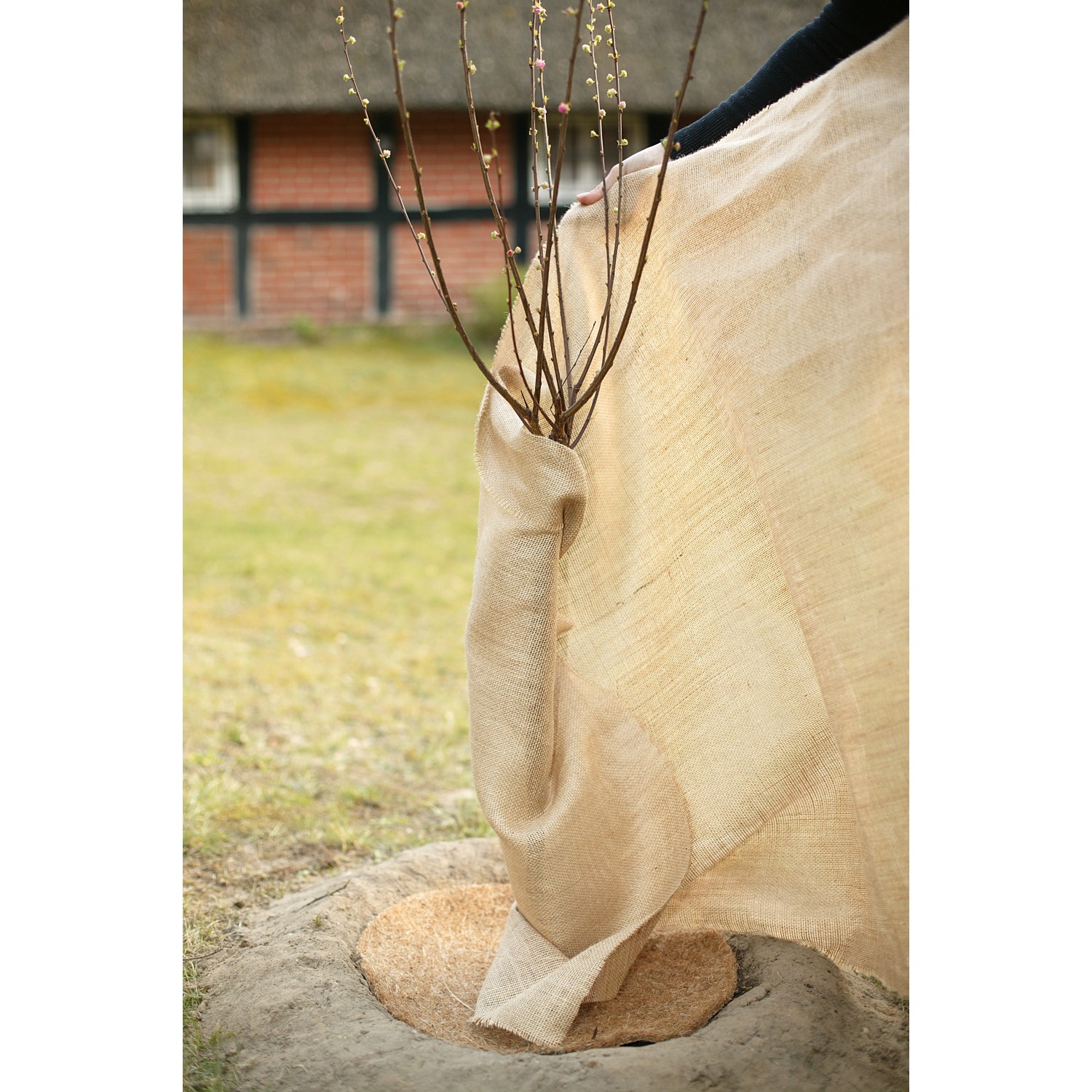 Winterschutz Jutegewebe Natur 105 cm x 300 cm kaufen bei OBI