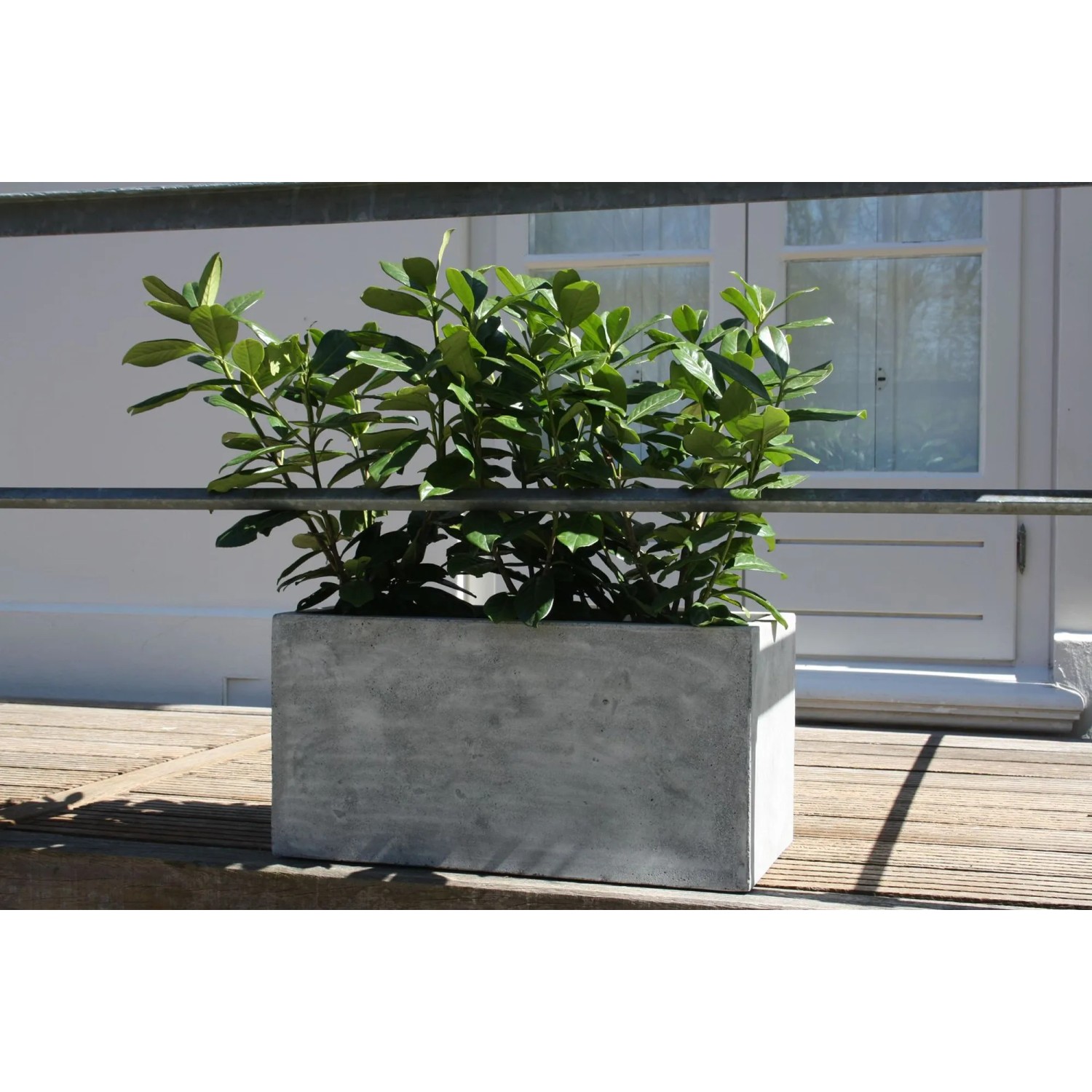Pflanzkubel Betonoptik Outdoor