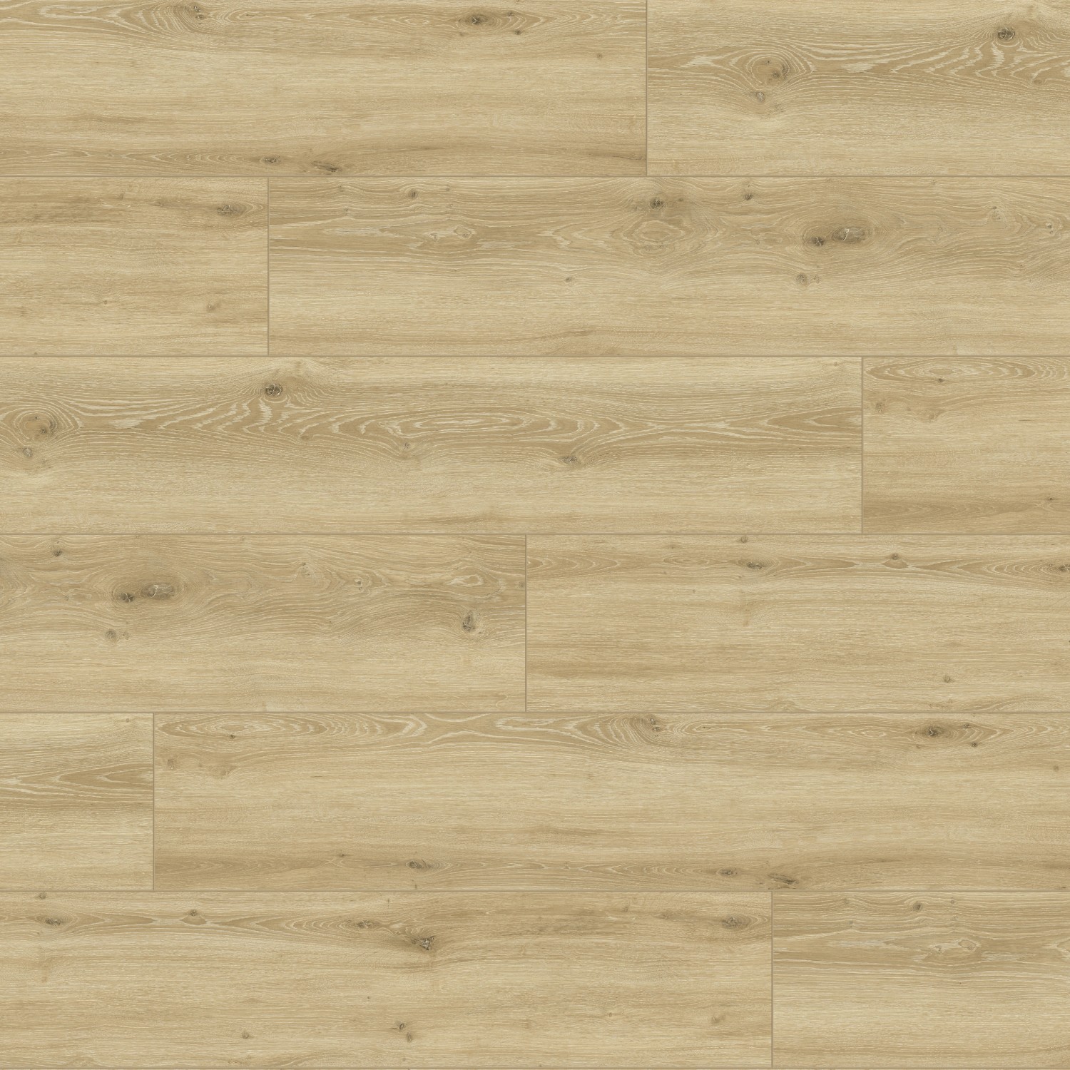 Click-Vinylboden Landhausdiele Eiche Studio bei OBI