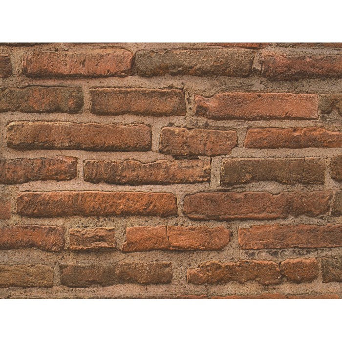 Backstein kaufen bei OBI