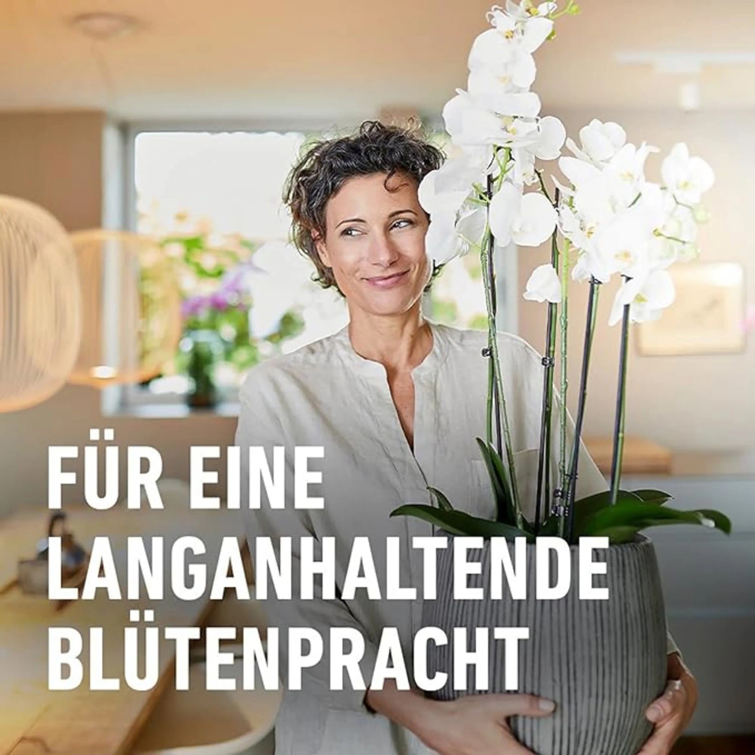 Compo Orchideen Dünger Aufbaukur 30 ml kaufen bei OBI
