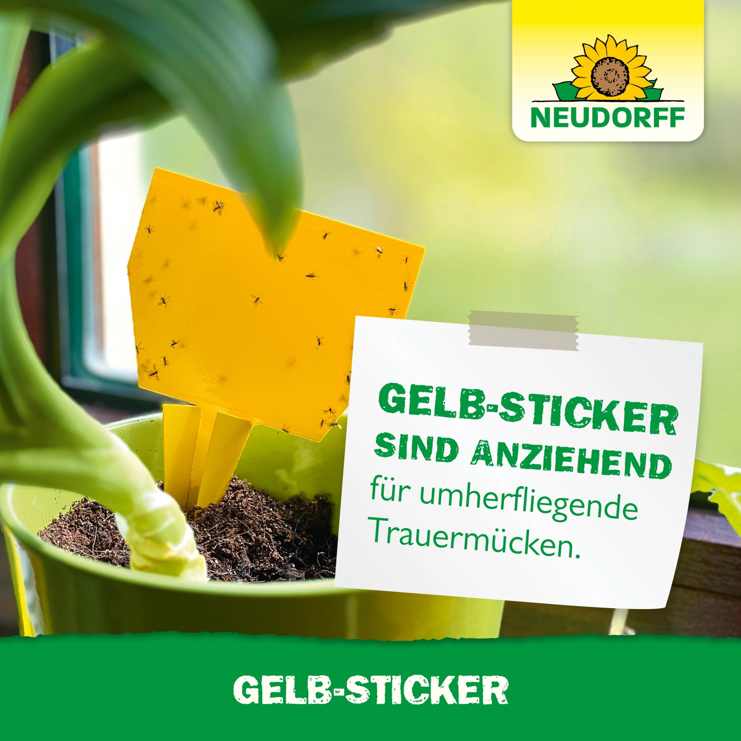 Neudorff Gelb-Sticker kaufen bei OBI
