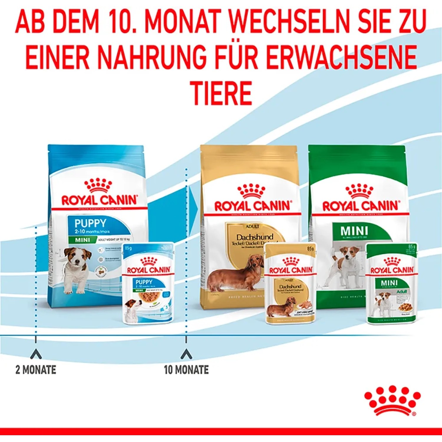 Royal Canin Welpenfutter Nass Mini Puppy für kleine Hunde 85 g kaufen ...