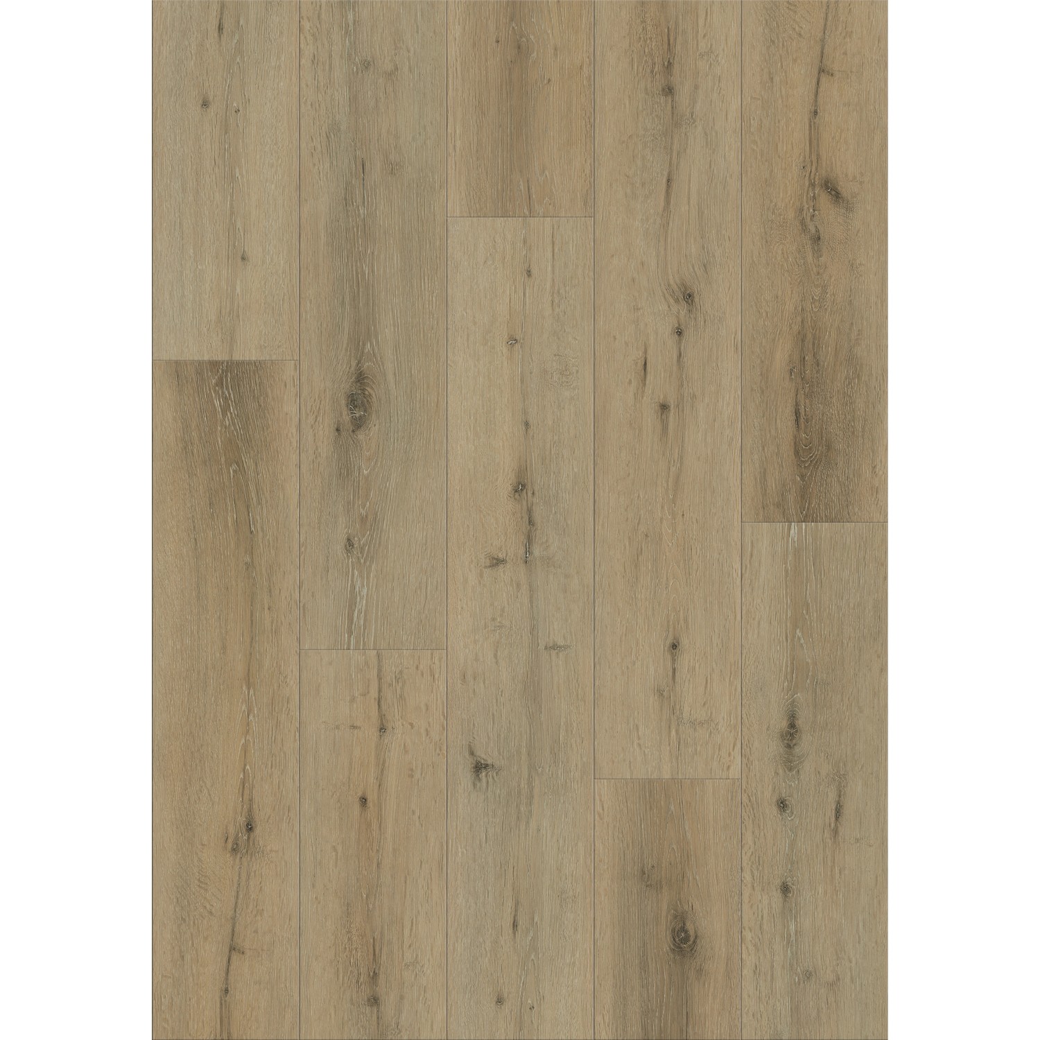 Click-Vinylboden Eiche Monza kaufen bei OBI