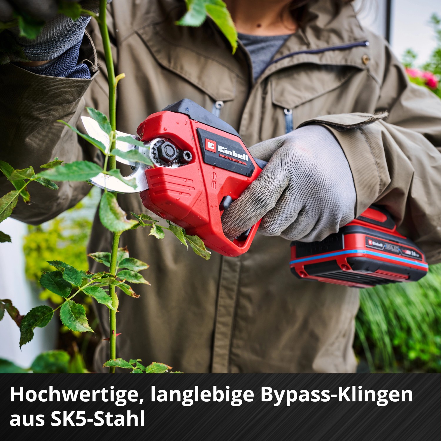 Einhell Akku-Astschere Professional GP-LS 18/28 Li BL-Solo kaufen bei OBI