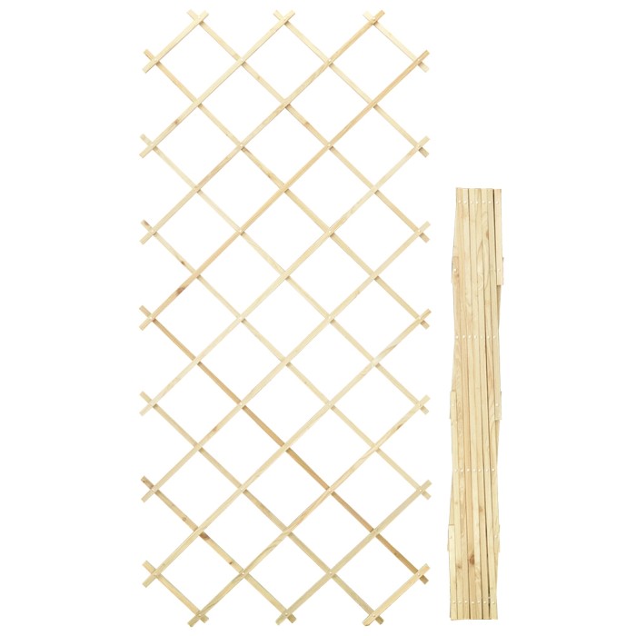 Elegantes Rankgitter Holz Obi Bild