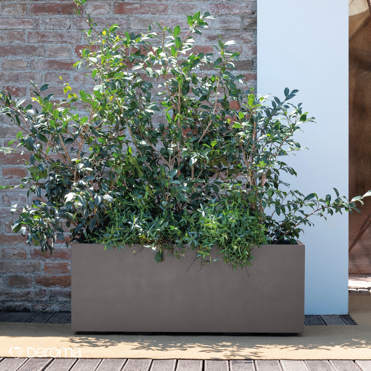 Deroma Pflanzkasten Millennium 39 cm x 99,3 cm x 37,6 cm Sandstone ...