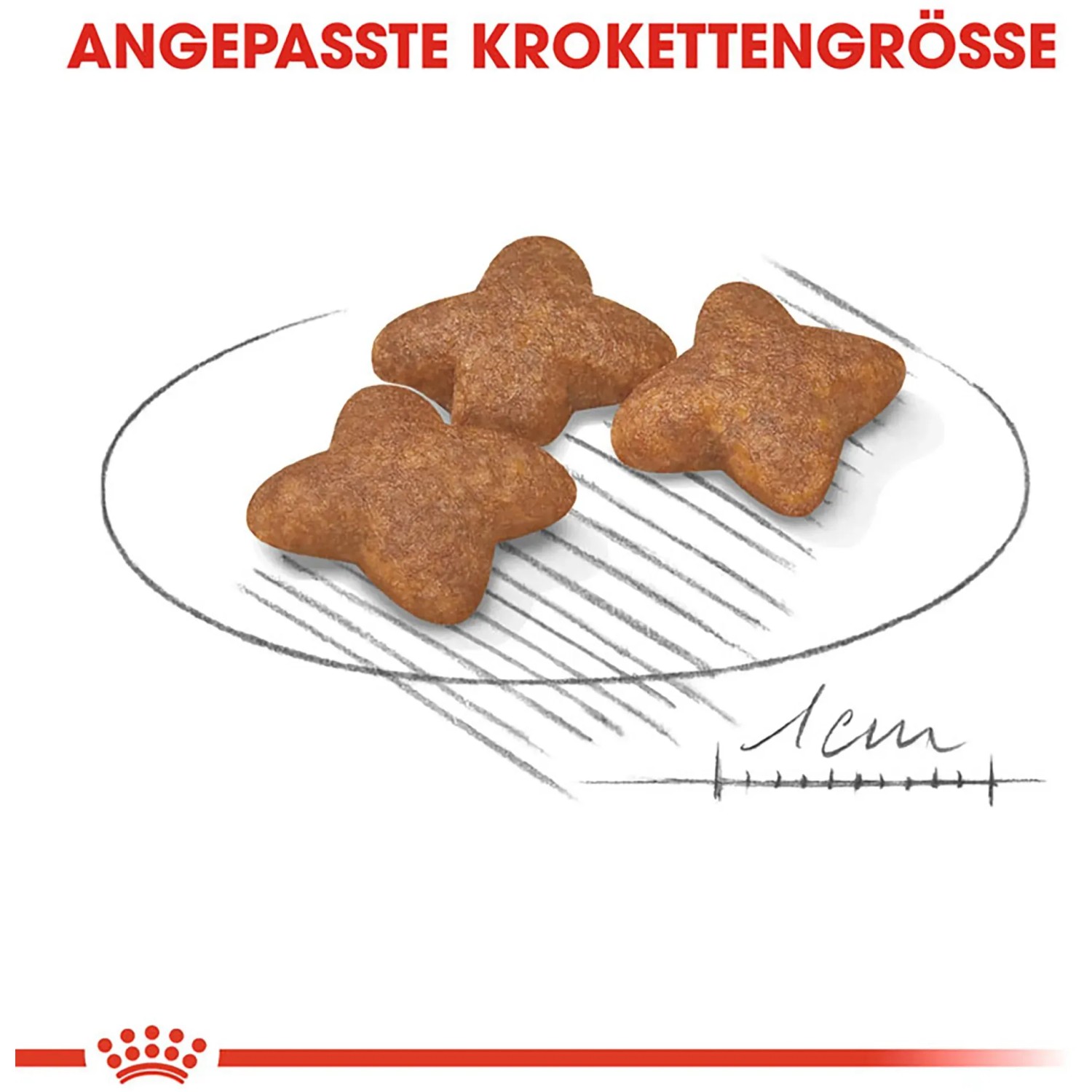 Royal Canin Mini Adult Trockenfutter für kleine Hunde 4 kg kaufen bei OBI