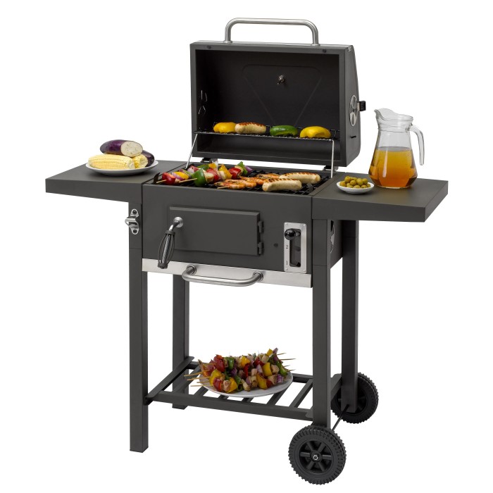 Tepro Grills kaufen bei OBI