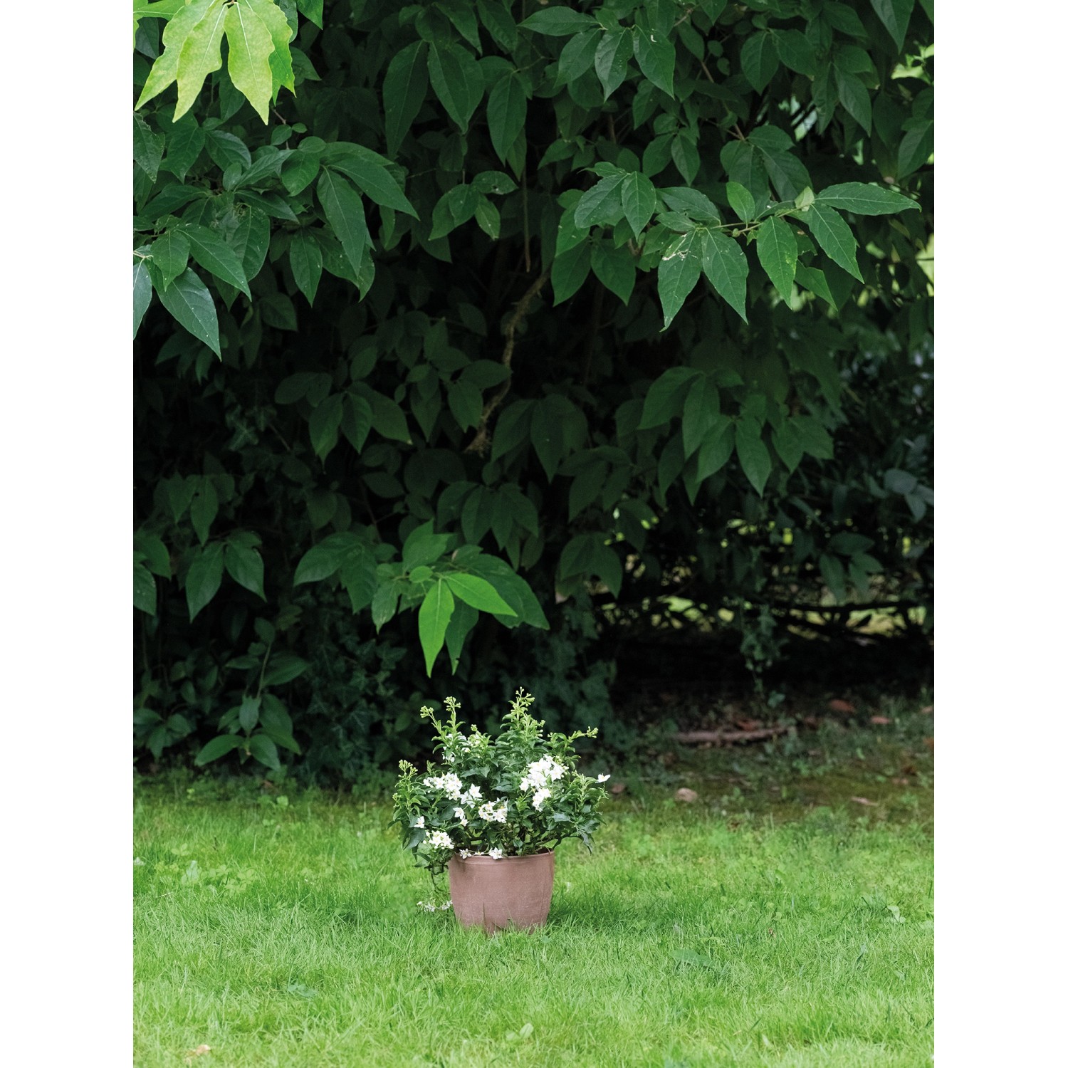 Deroma Pflanztopf Egg Pot Ø 15,9 cm x 14,2 cm Weiß kaufen bei OBI