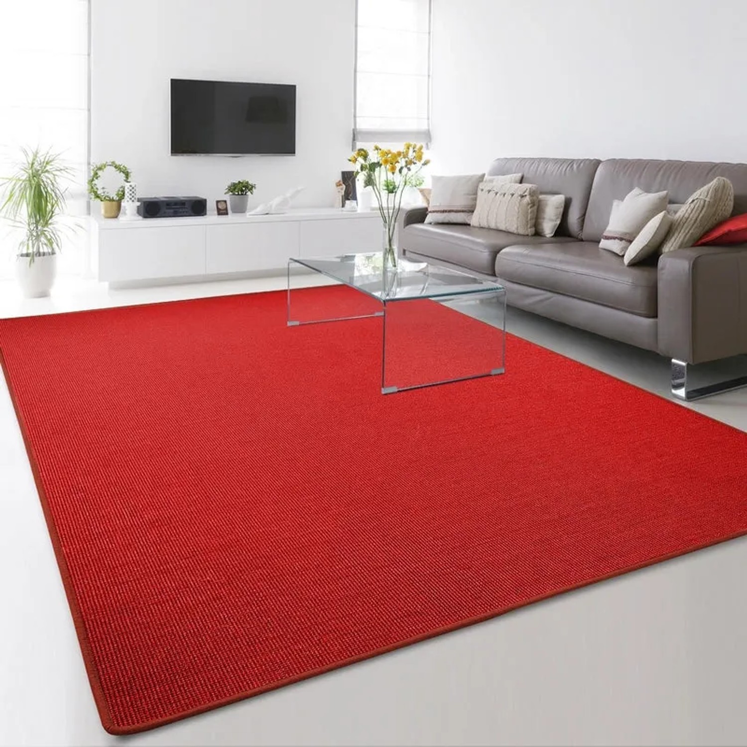 Roter Teppich Kaufen