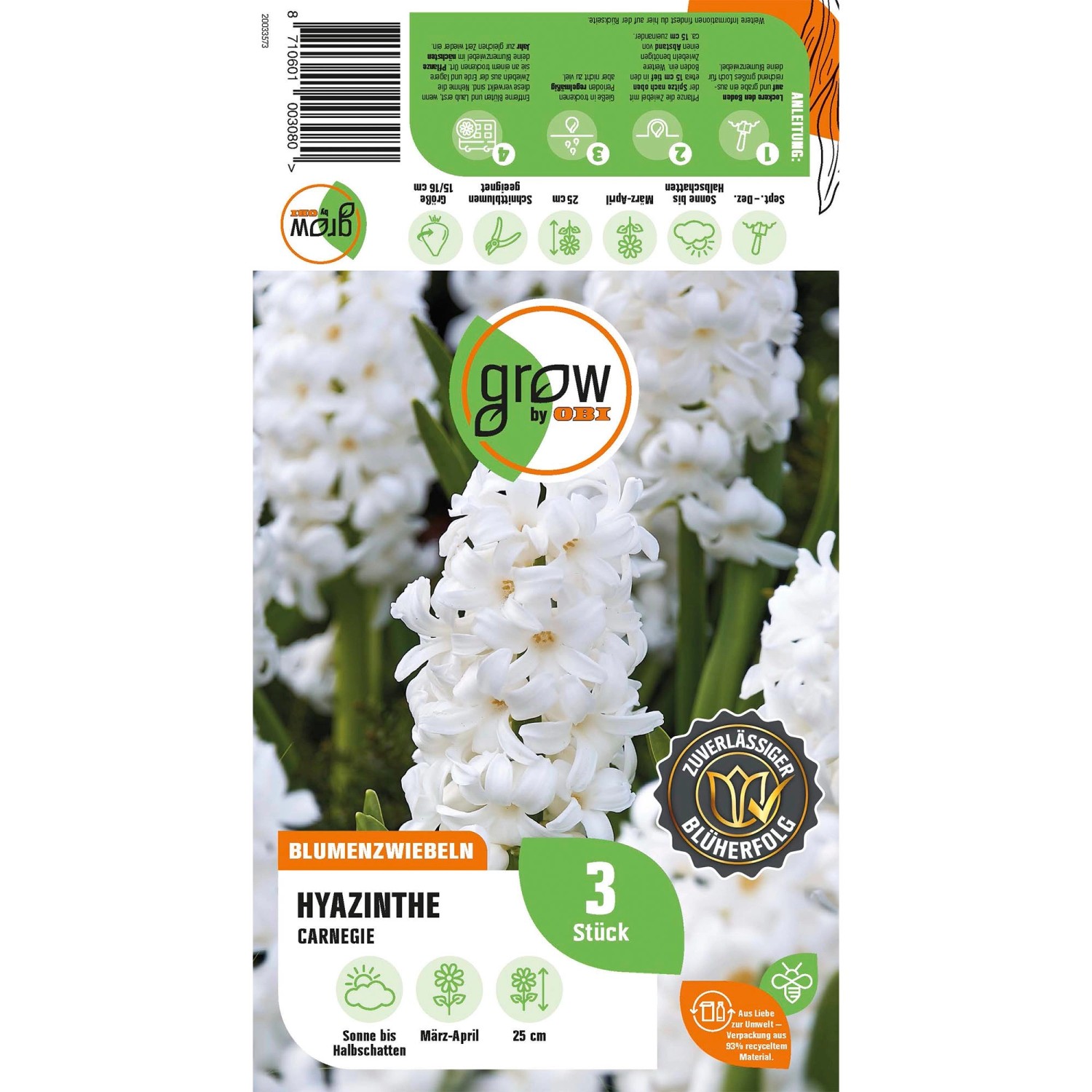 GROW by OBI Hyazinthe Carnegie Weiß 3 Stück Hyacinthus orientalis Carnegie kaufen bei OBI