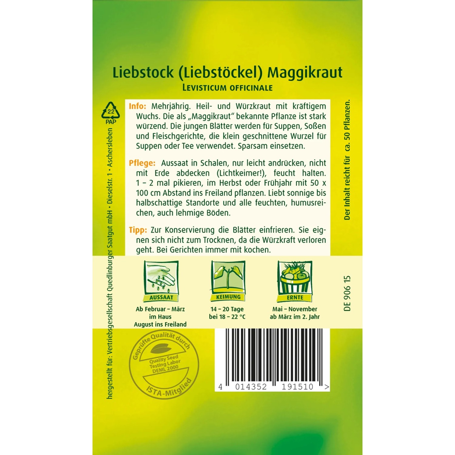 Quedlinburger Liebstock Maggikraut kaufen bei OBI