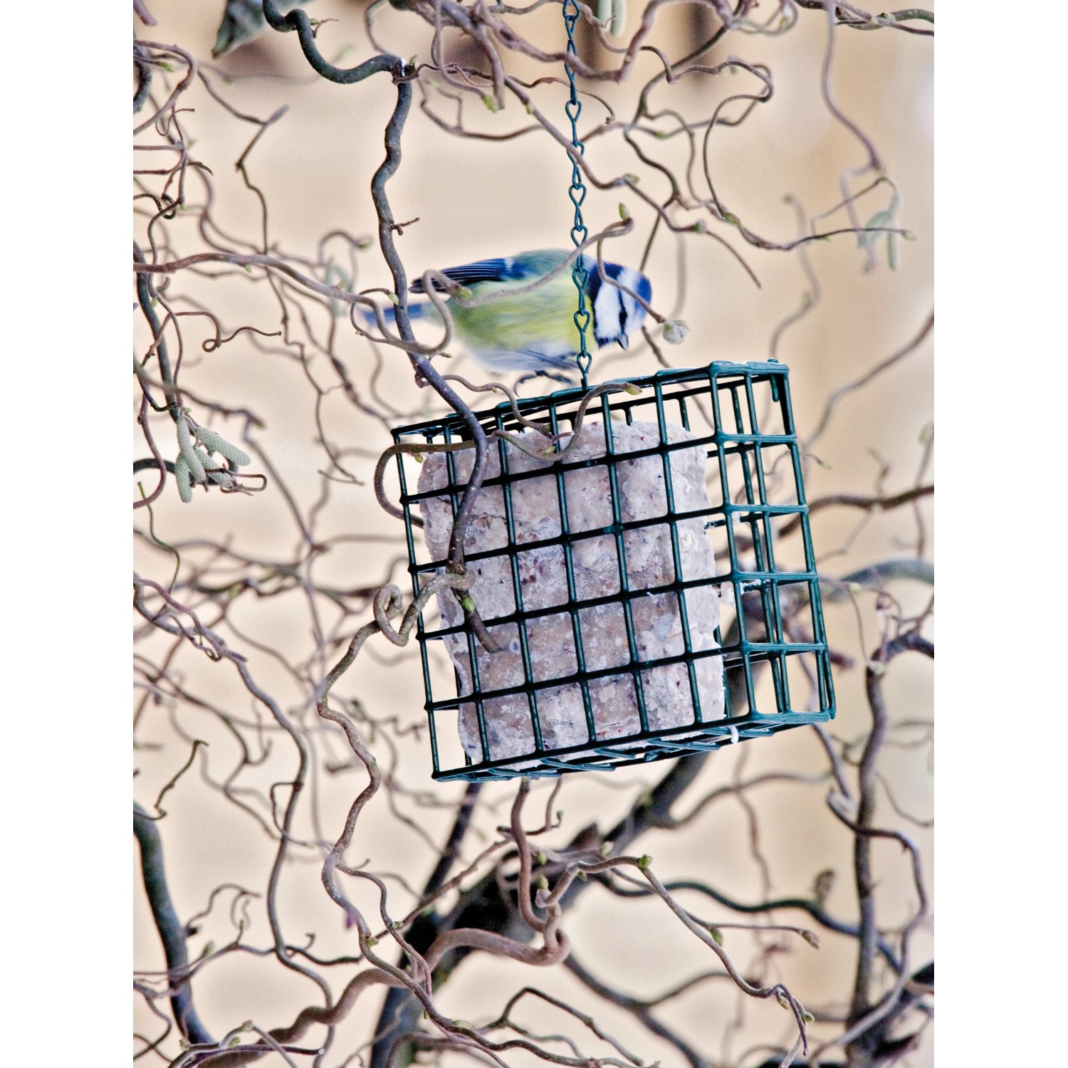 Dobar Vogelfutterspender Energieblockhalter kaufen bei OBI