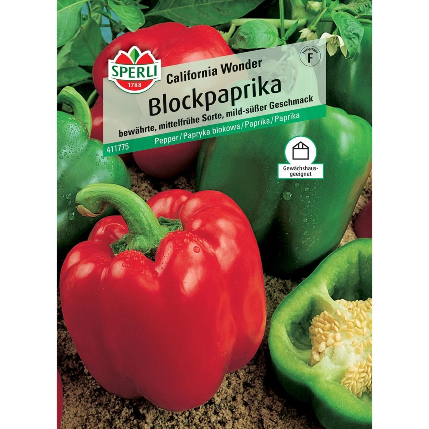 Sperli Blockpaprika "California Wonder" (Capsicum annuum) kaufen bei OBI