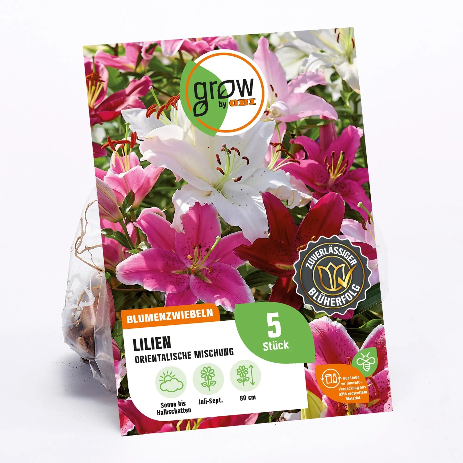 GROW by OBI Orientalische Lilien Mischung 80 cm kaufen bei OBI