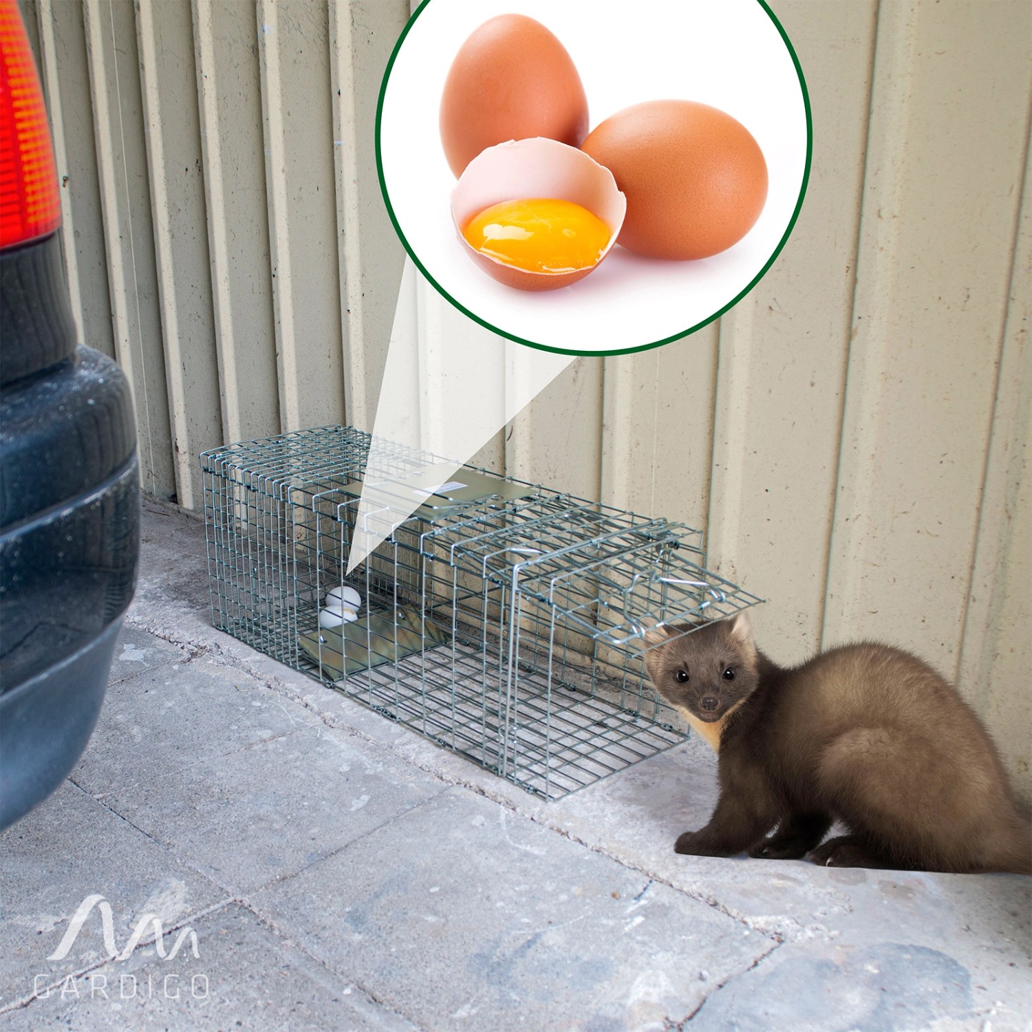 Gardigo Marder-Lebendfalle Käfig kaufen bei OBI