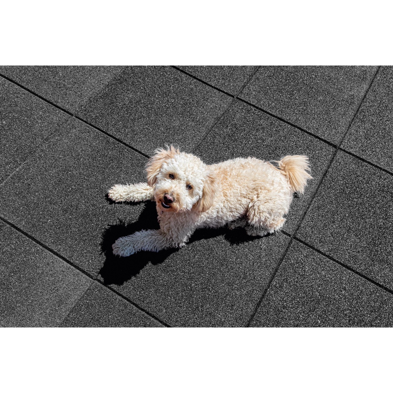 Terrasoft Fallschutzplatte 3 cm Schwarz 5 m² Paket kaufen bei OBI