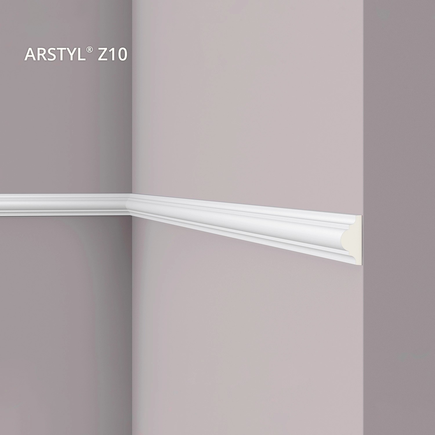 NOEL & MARQUET NMC Z10-Box ARSTYL Wandleisten 1 Karton Set mit 50 ...