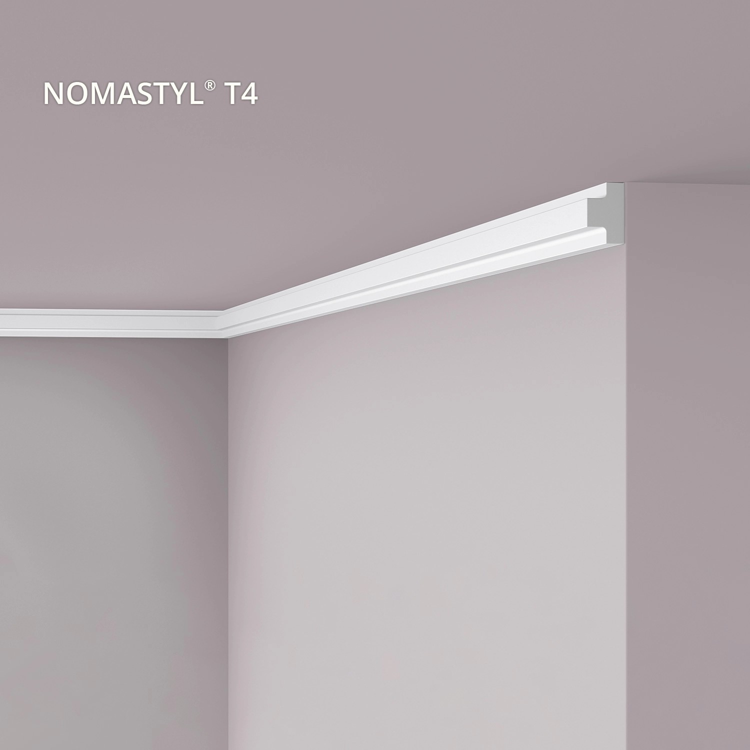 NOEL & MARQUET NMC T4-Box-10 NOMASTYL Wandleisten 1 Karton Set mit 10 ...