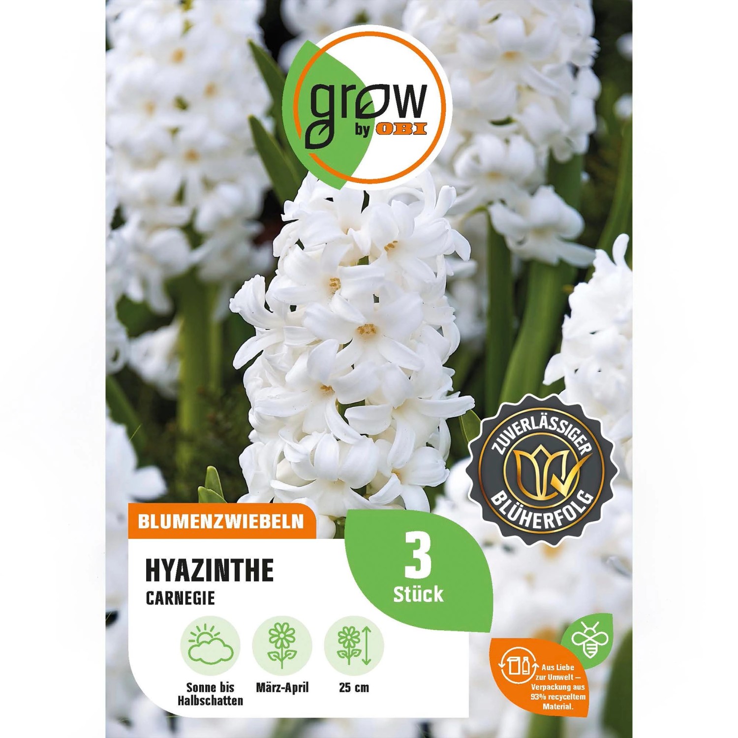 GROW by OBI Hyazinthe Carnegie Weiß 3 Stück Hyacinthus orientalis Carnegie kaufen bei OBI