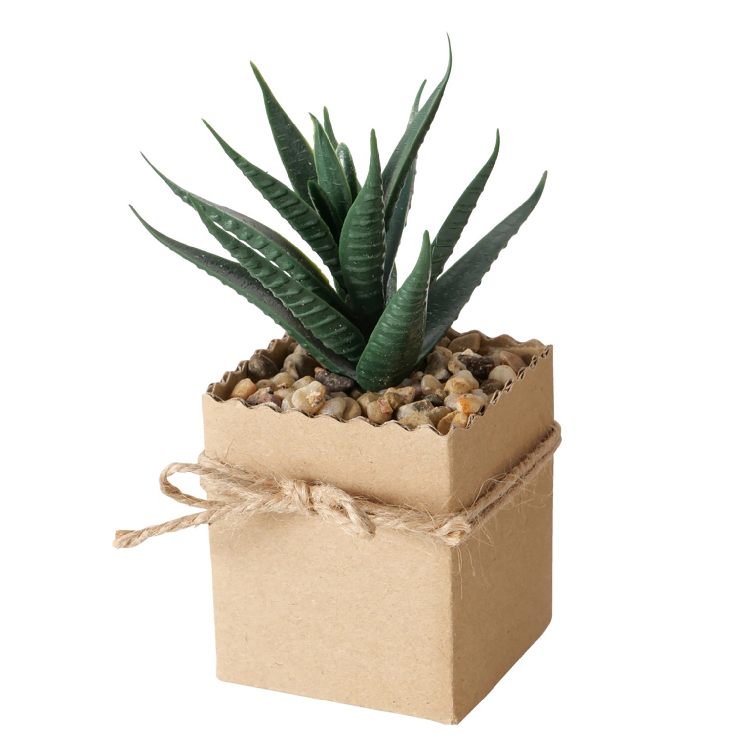 Boltze Topfpflanze Agamo 4-fach Sortiert 17 cm x 6 cm x 6 cm Natur ...