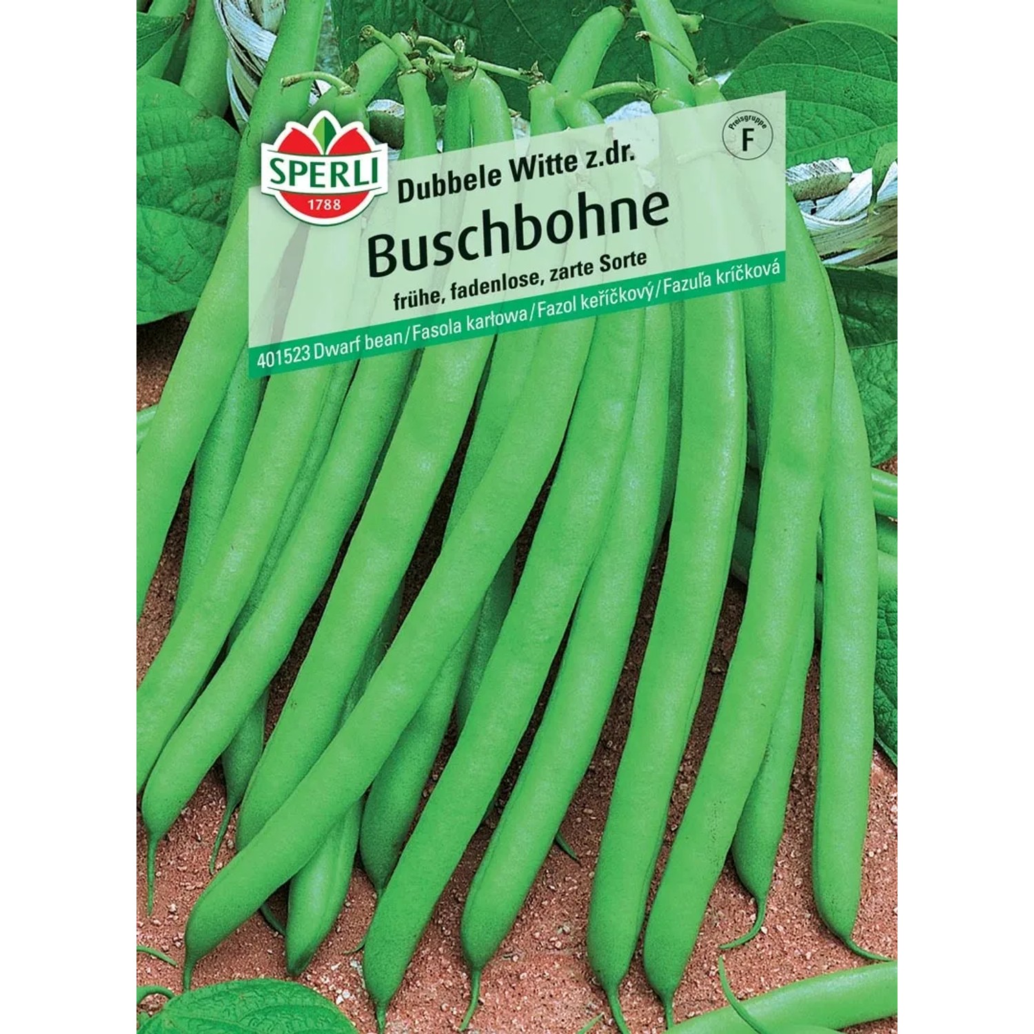 Sperli Buschbohne "Dubbele Witte z.dr." (Phaseolus vulgaris) kaufen bei OBI