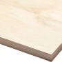 Multiplex Platte Birke 250 cm x 125 cm x 0,9 cm Braun kaufen bei OBI