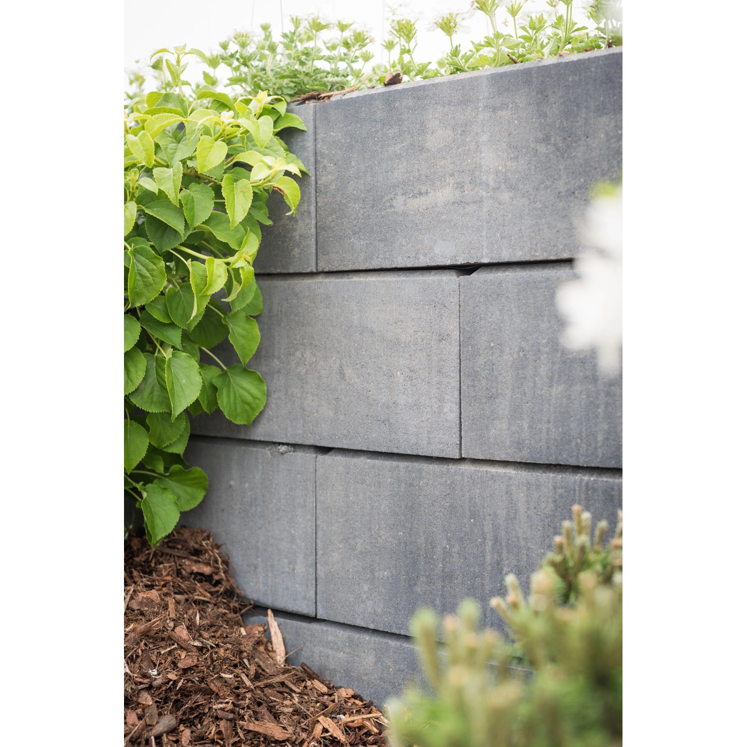 Diephaus Betonmauerstein Mileo Maxi Quarzit 60 x 40 x 20 cm kaufen bei OBI