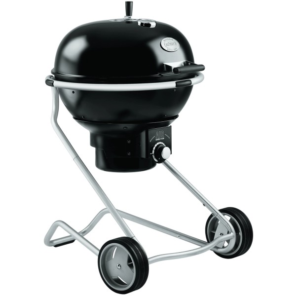 Holzkohlegrill mit Deckel kaufen bei OBI