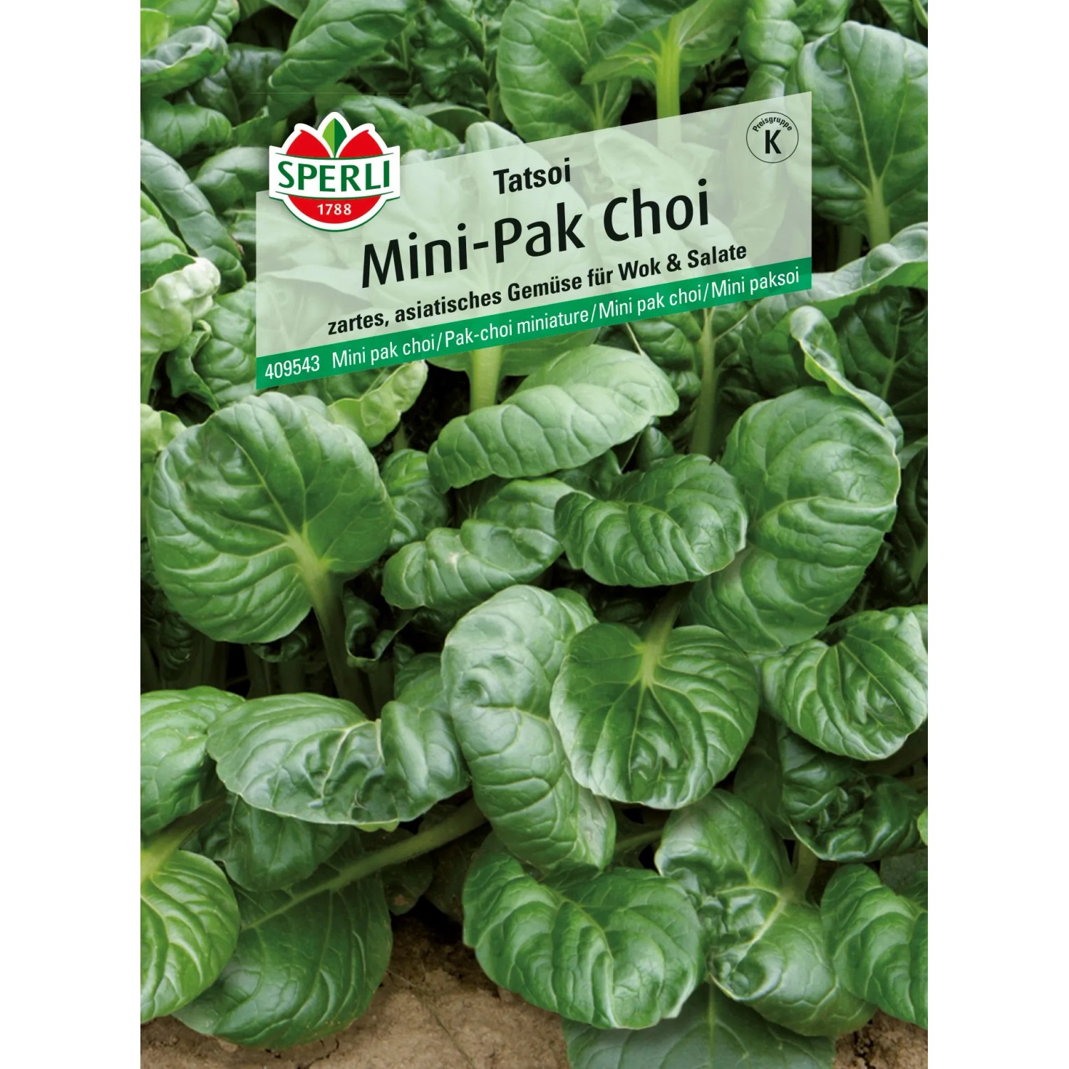 Sperli Pak Choi Samen Mini Tatsoi kaufen bei OBI