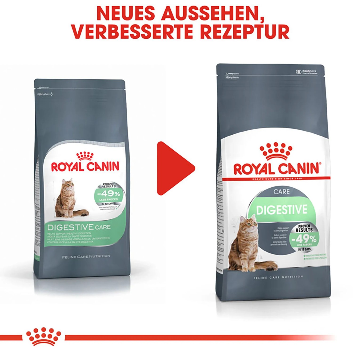 Katzen Trockenfutter Royal Canin