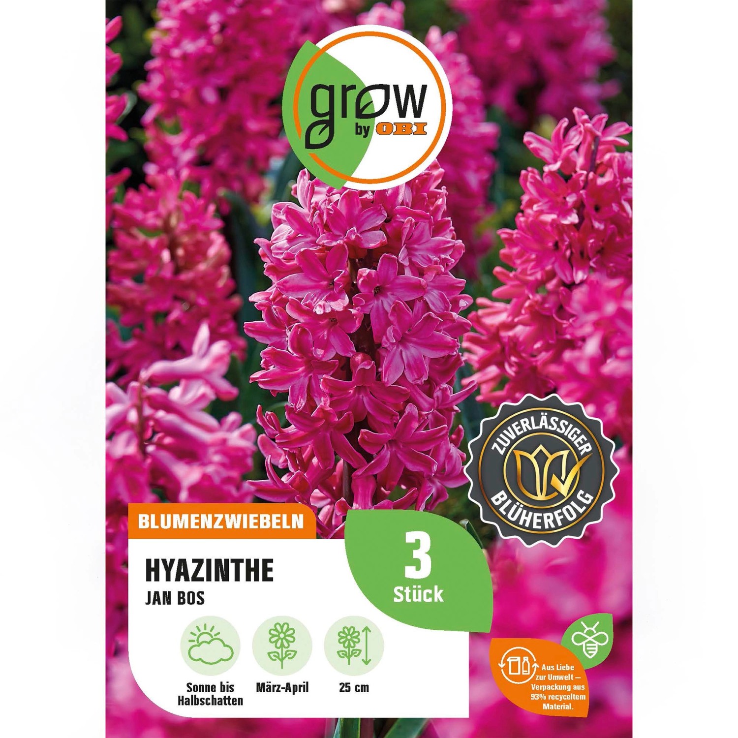 GROW by OBI Hyazinthe Jan Bos Rot 3 Stück Hyacinthus orientalis Jan Bos kaufen bei OBI