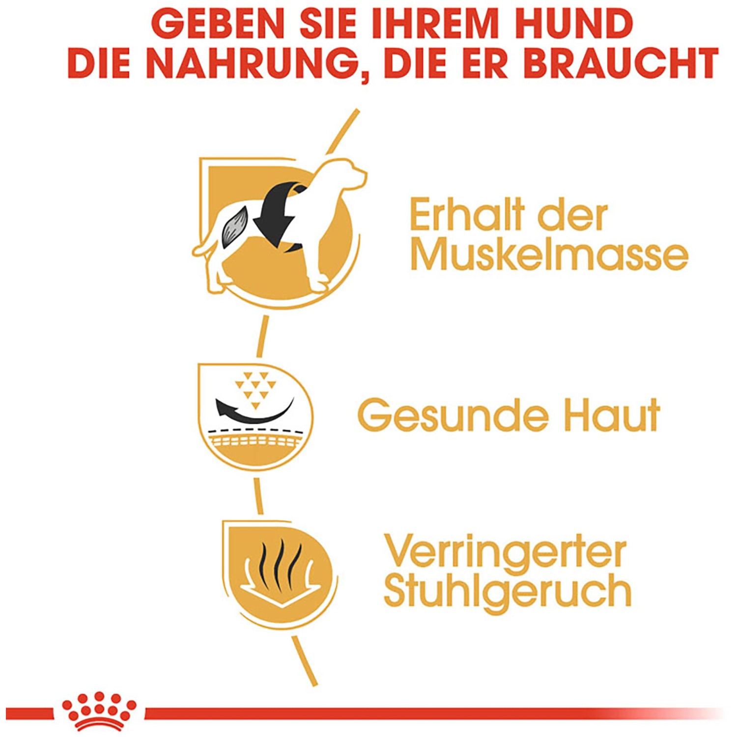 Royal Canin French Bulldog Adult Hundefutter Trocken Franz. Bulldoggen ...