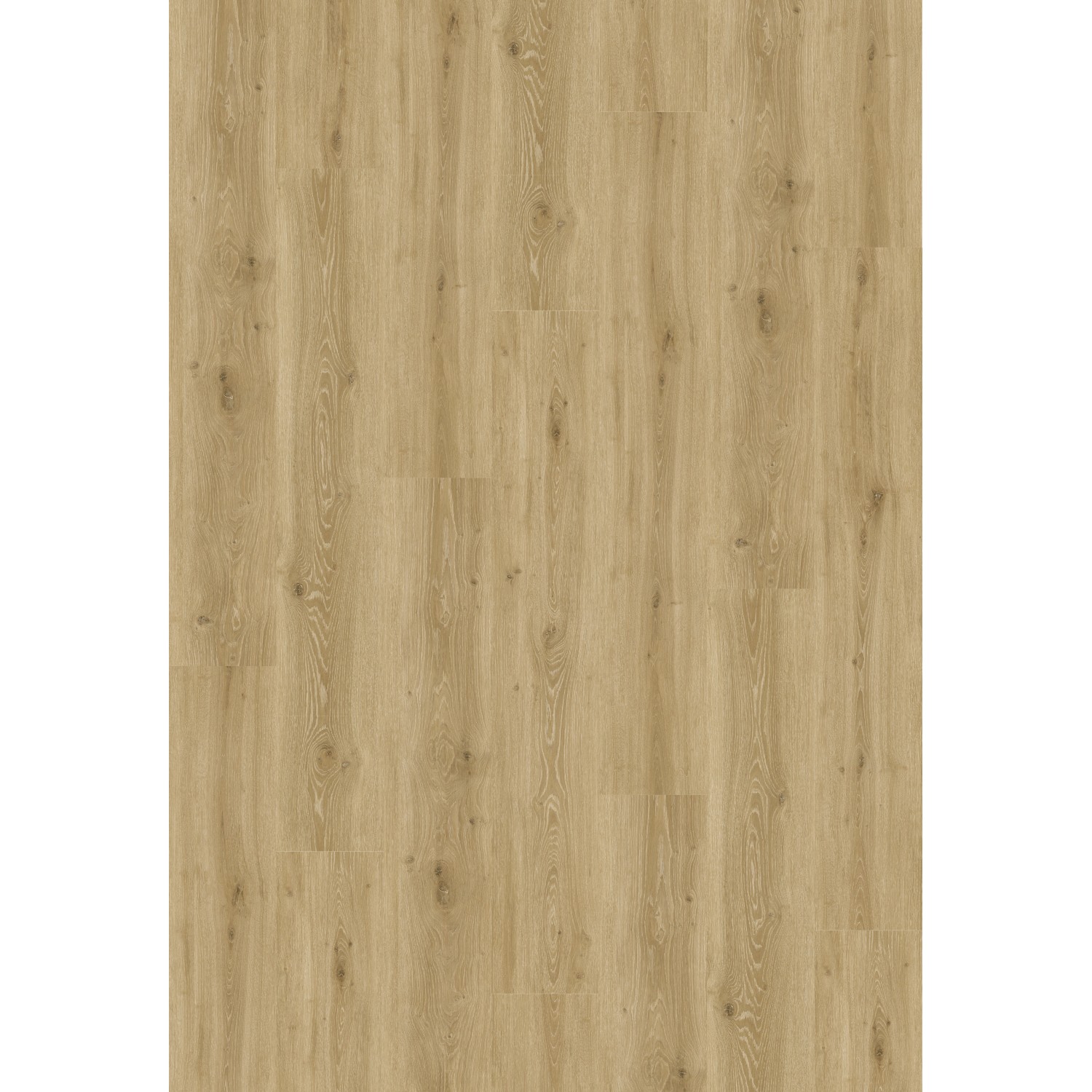 Vinylboden Sommereiche Hell 4 mm Schwimmende Verlegung kaufen bei OBI