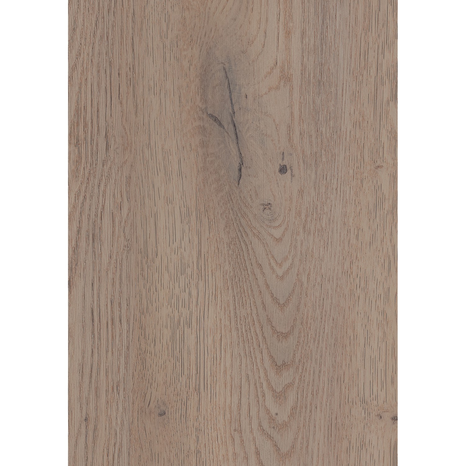 Kaindl Arbeitsplatte 60 cm x 3,8 cm Eiche Cremona Cannolo Meterware ...