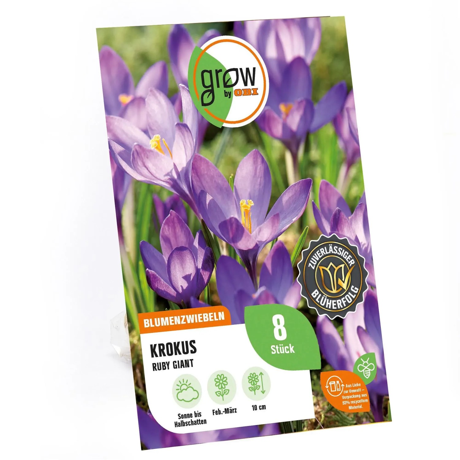 GROW by OBI Krokus Crocus tommasinianus 'Ruby Giant' Blau 8 Stück ...