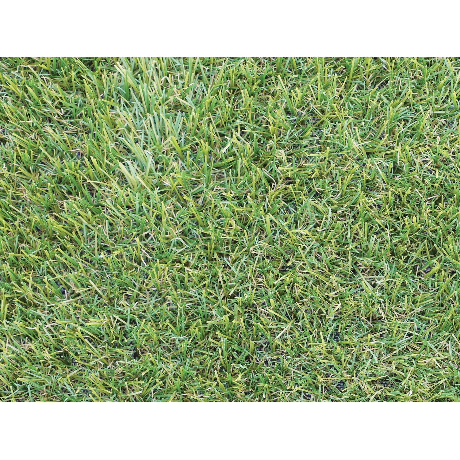 Garten Kunstrasen 2 x 3 m Grün wasserdurchlässig kaufen bei OBI