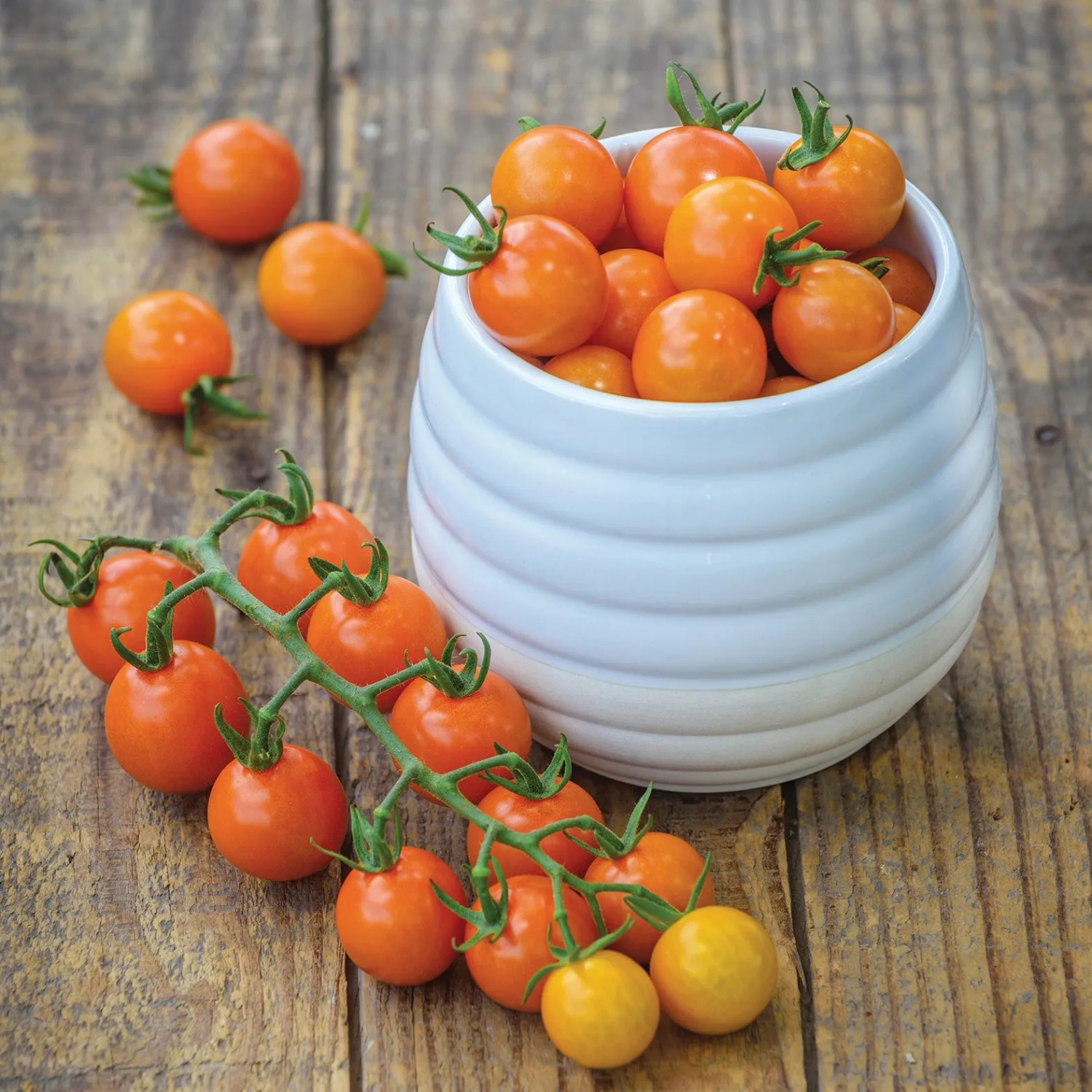 GROW by OBI Cherrytomate Gelb Topf-Ø 10,5 cm kaufen bei OBI