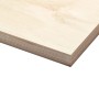Multiplex-Platte Birke 120 x 60 x 0,9 cm FSC® bei OBI