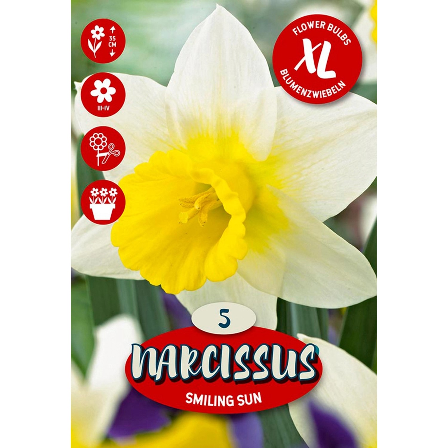 Blumenzwiebel Narcissus Large Crowned Smiling Sun kaufen bei OBI